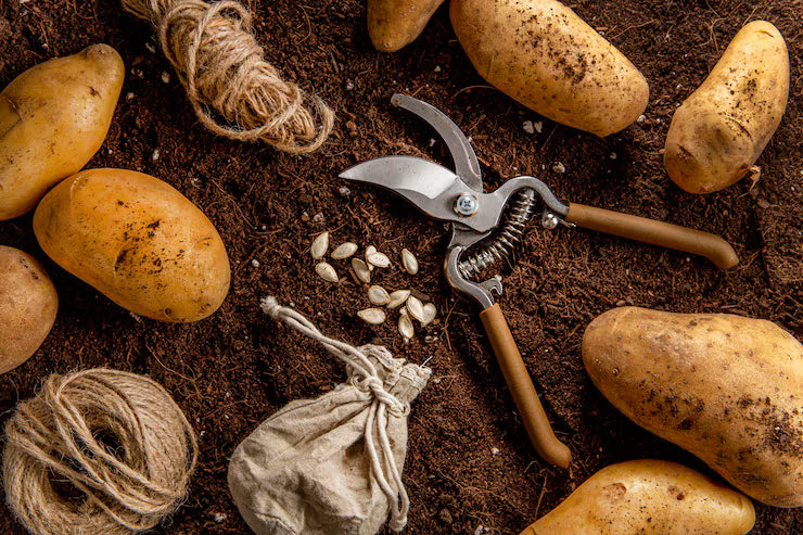 Perfect Soil for Potatoes – A Farmer’s Guide – KrishiVerse